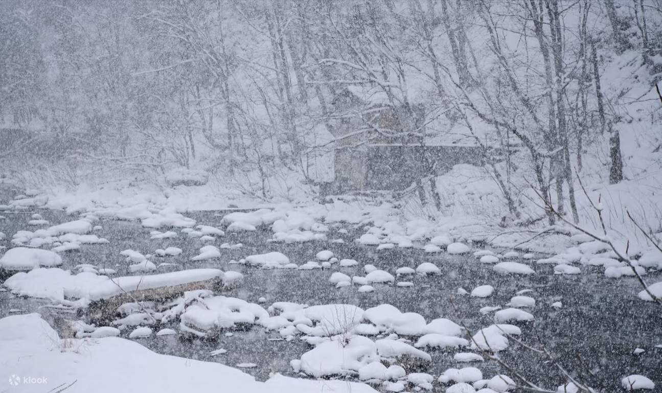 [Winter Limited, departure from Sapporo] Jozankei snow scenery tour × ...